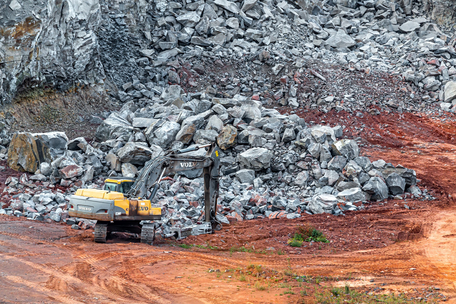 Responsible Consumption & Production - Roots & Shoots