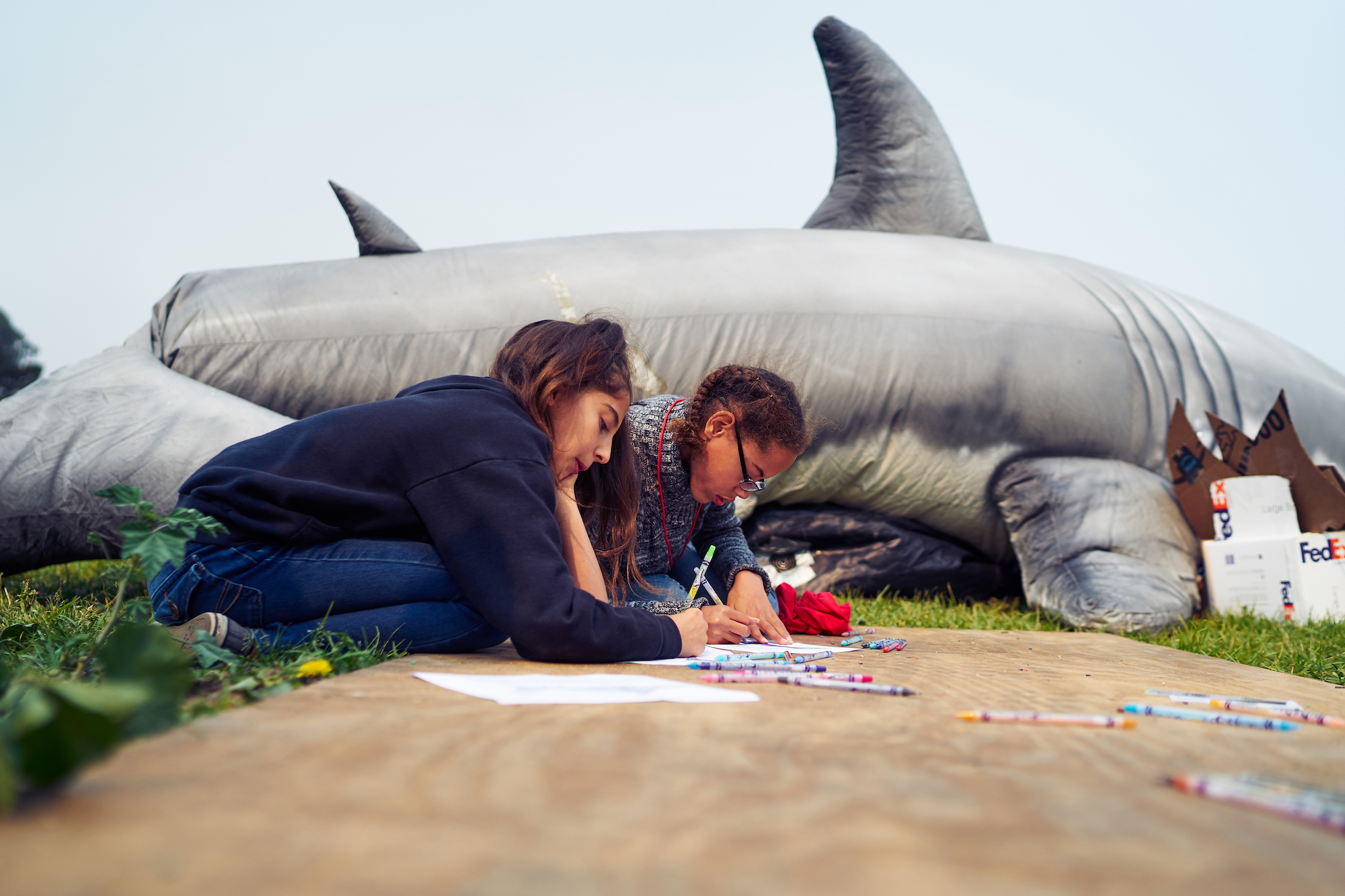 Community Mind Mapping - Roots & Shoots