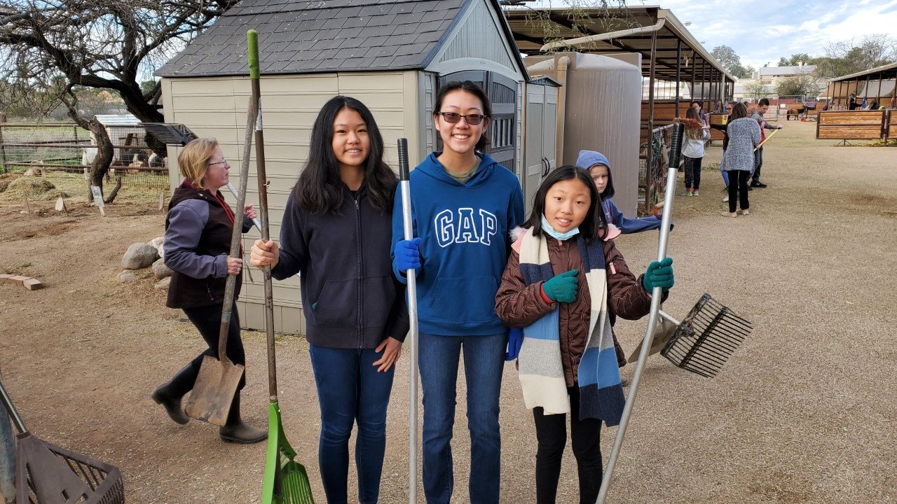 TRAK Ranch Volunteering: Therapeutic Ranch for Animals and Kids - Roots ...