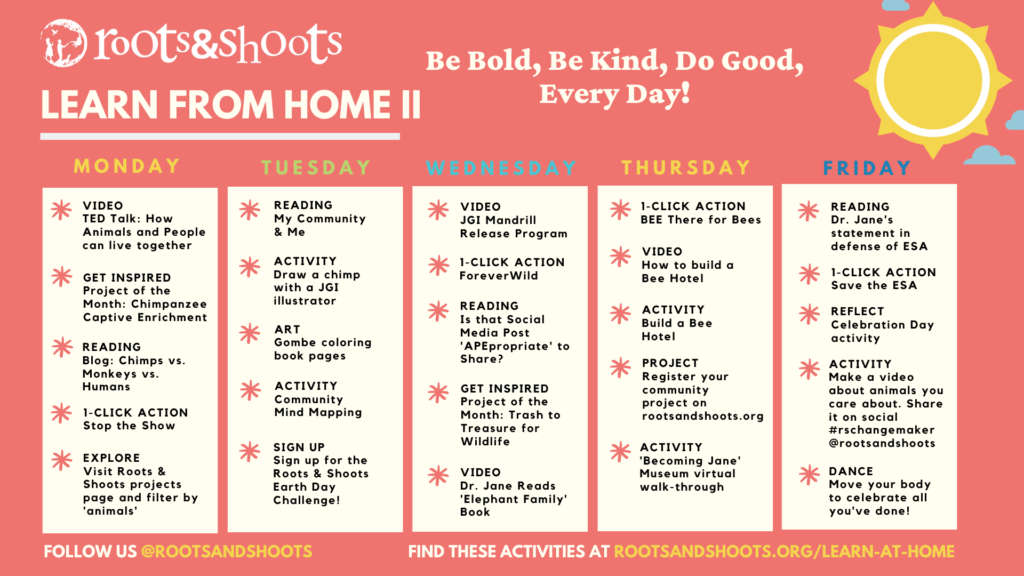 WEEK II AT HOME SCHEDULE - Roots & Shoots