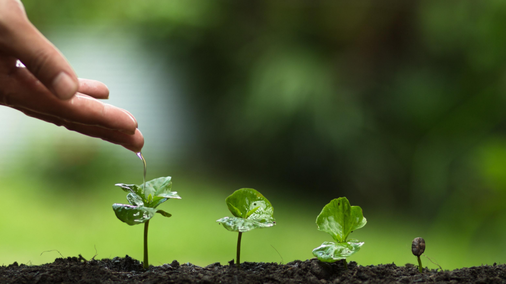Project-in-a-Box Greening Community Service Learning Lesson