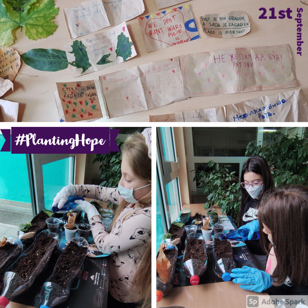 Planting Hope - Roots & Shoots