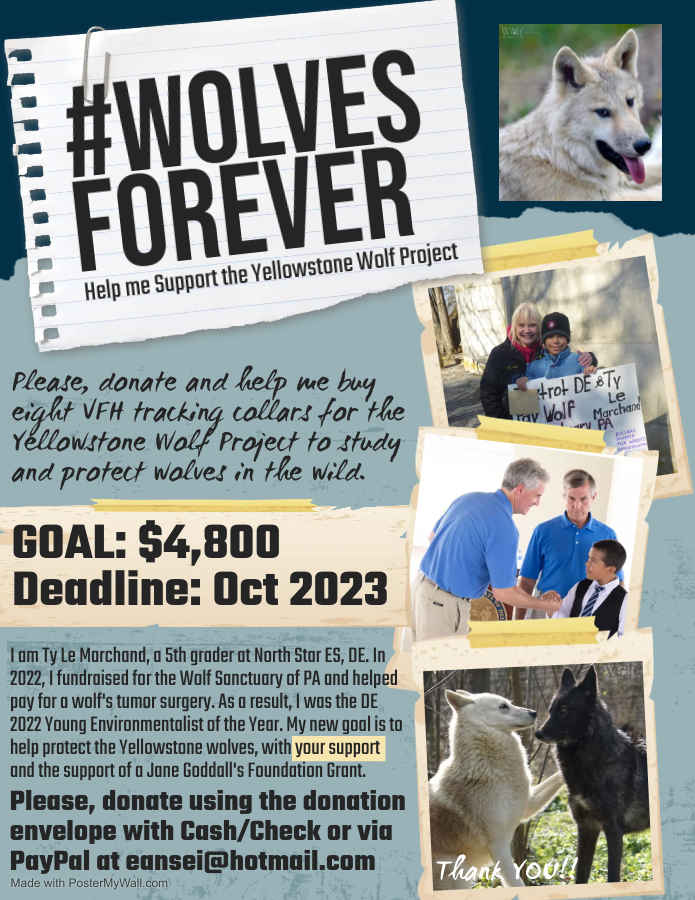 #WolvesForever - Roots & Shoots