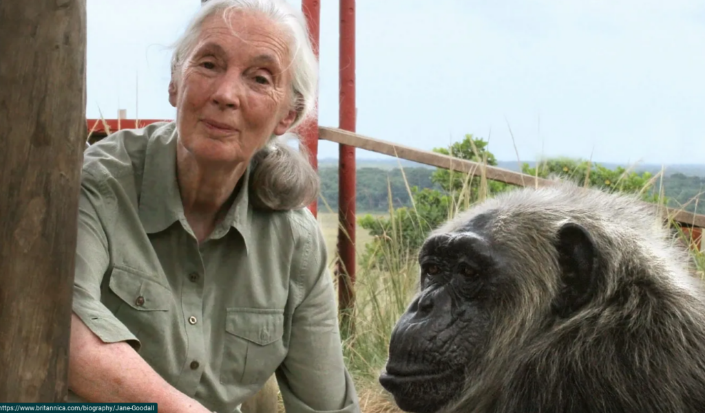Dr. Jane Goodall - Roots & Shoots