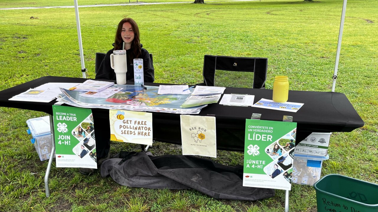 Bee Box 4-H Service Project - Roots & Shoots
