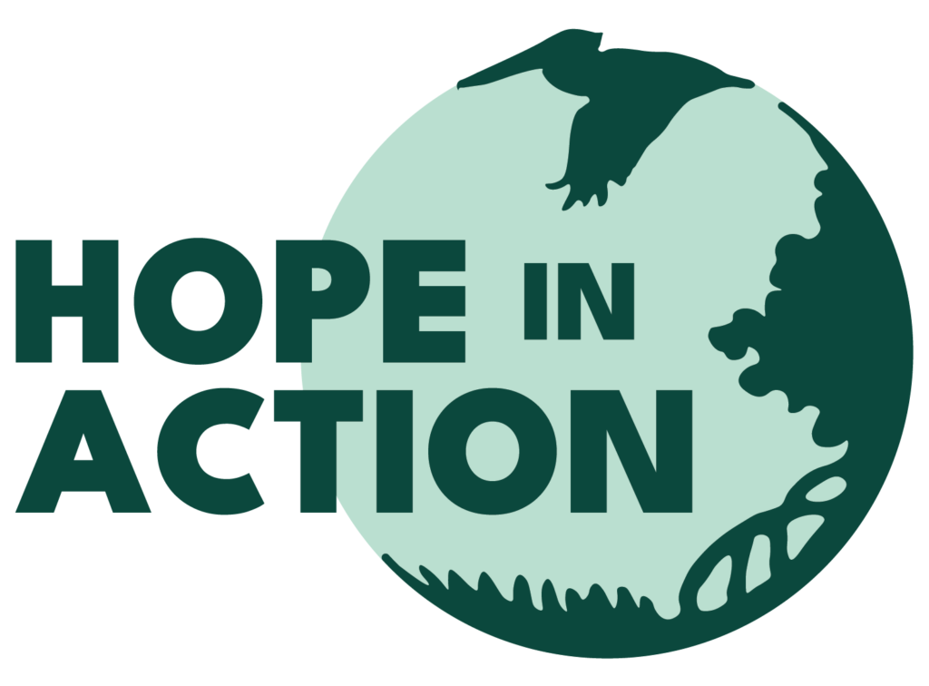 Tampa Bay Hope in Action - Roots & Shoots