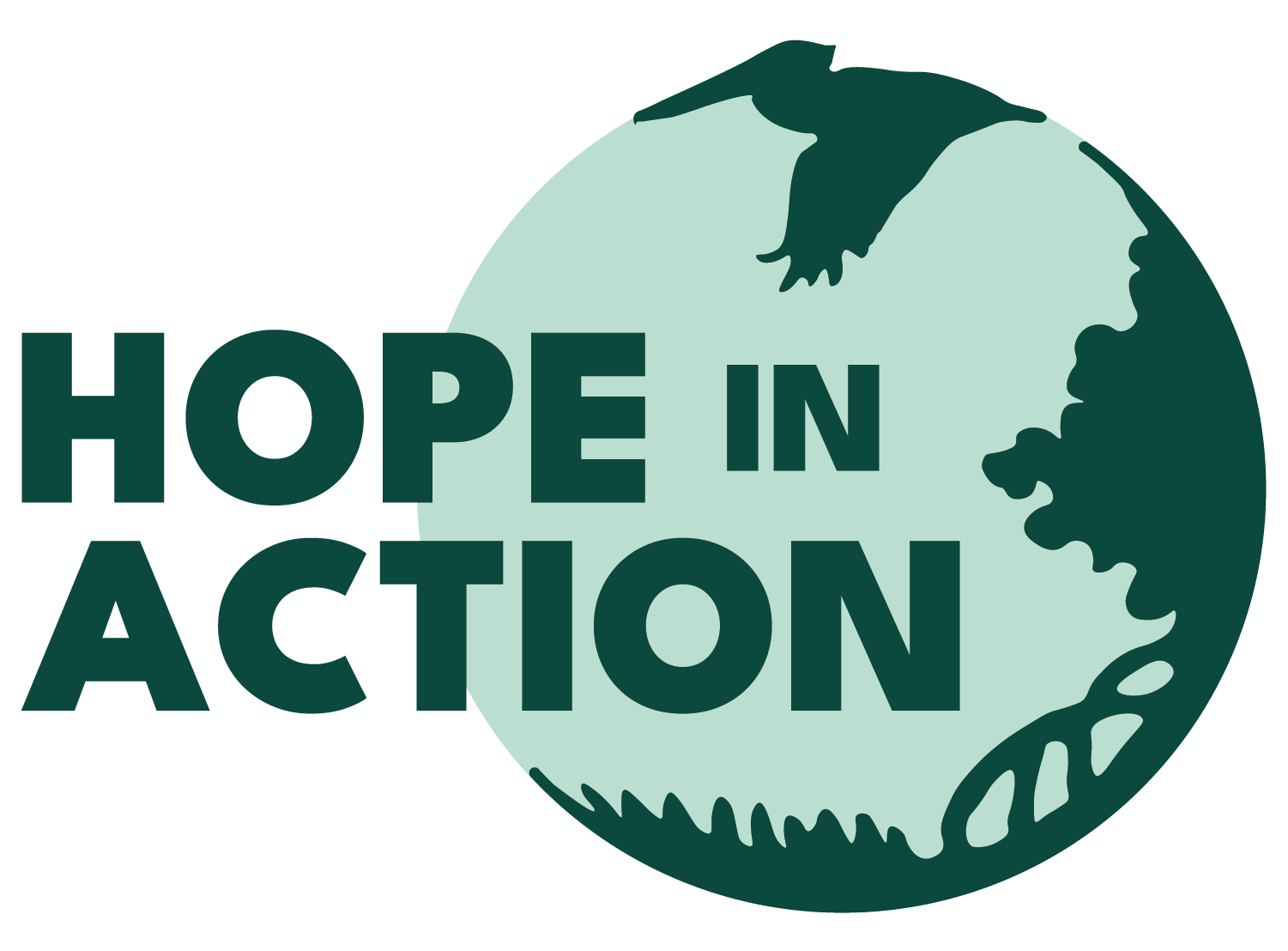 Tampa Bay Hope in Action - Roots & Shoots