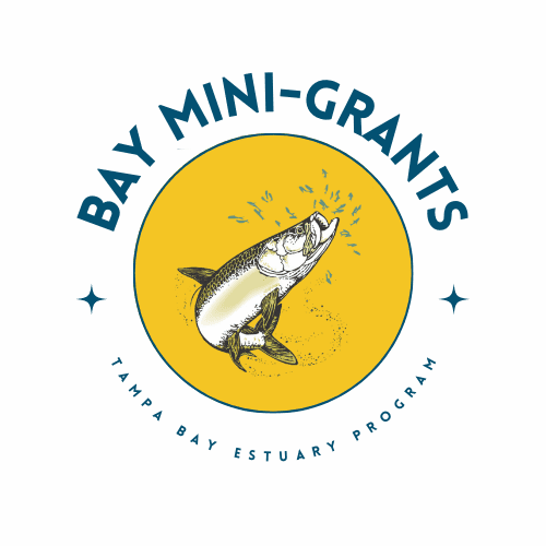 Tampa Bay Basecamp - Roots & Shoots