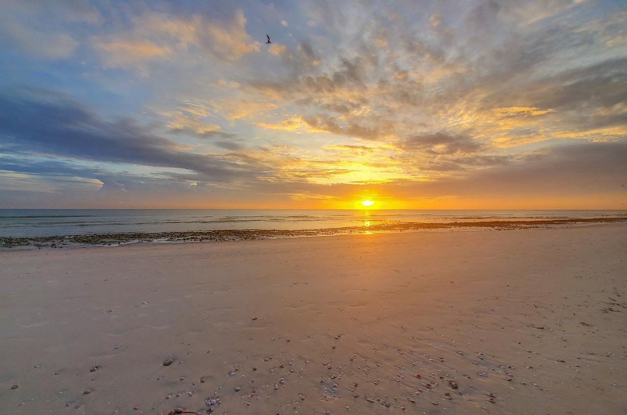 Roots & Shoots By the Bay - Roots & Shoots